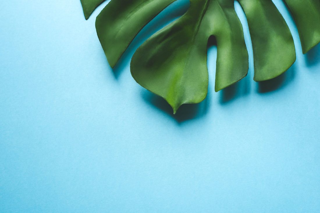 Simple stock photos to take at home! - Snap & Sell Photo Club